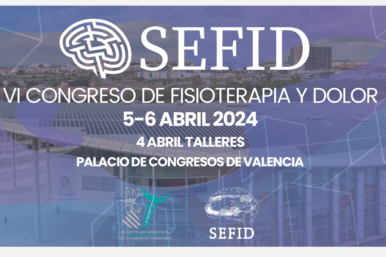 SEFID – Jornadas ICOFCV Fisioterapia